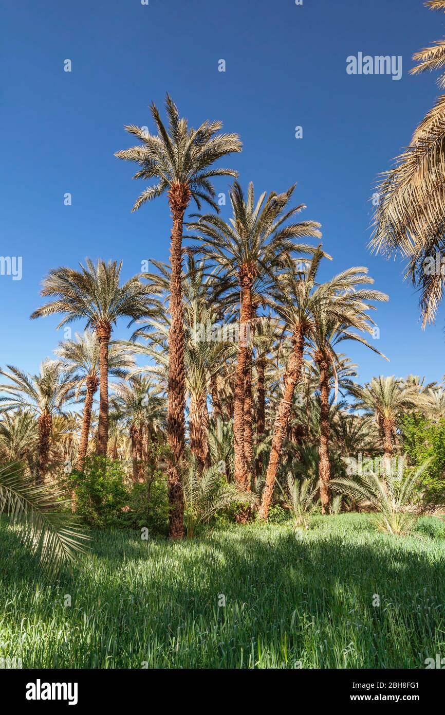 Maroc maroc Banque de photographies et d’images à haute résolution - Alamy
