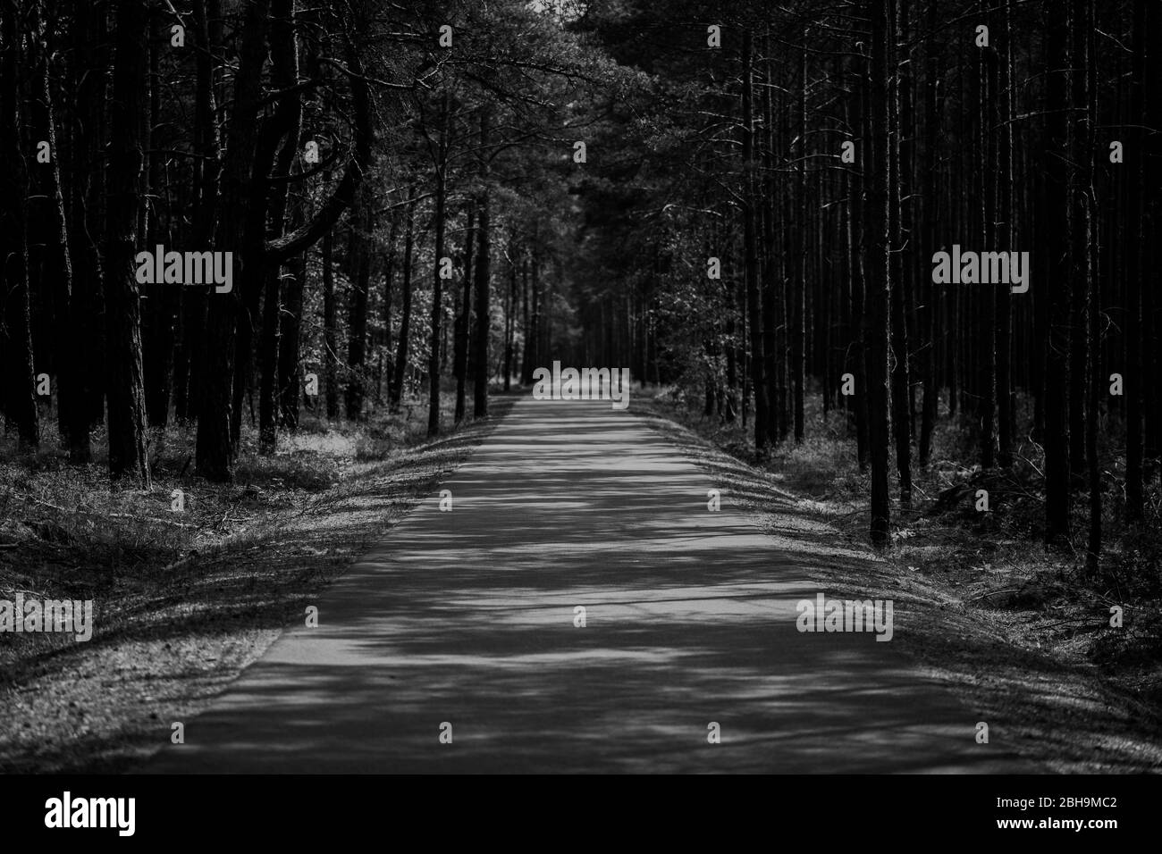 Piste cyclable cyclable Banque d'images noir et blanc - Alamy