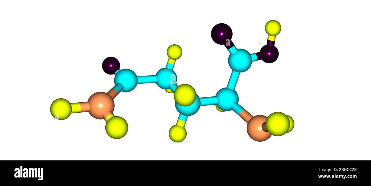 La glutamine ou la Gln est un acide aminé utilisé dans la biosynthèse ...