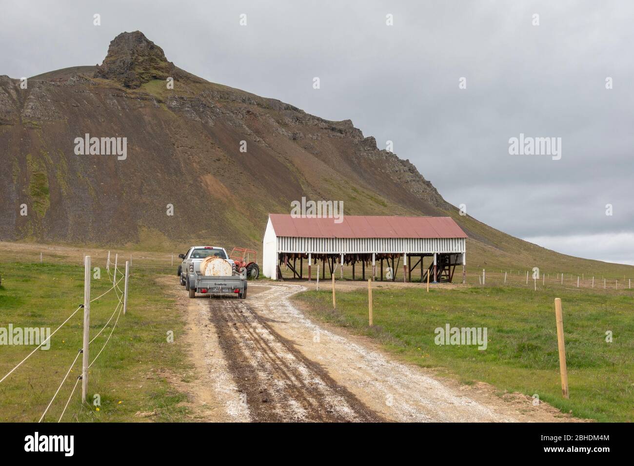 Un nouveau requin arrive en camion dans le hangar de séchage de la ...