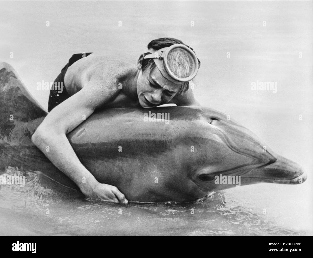 Flipper 1963 Film Banque d'image et photos - Alamy