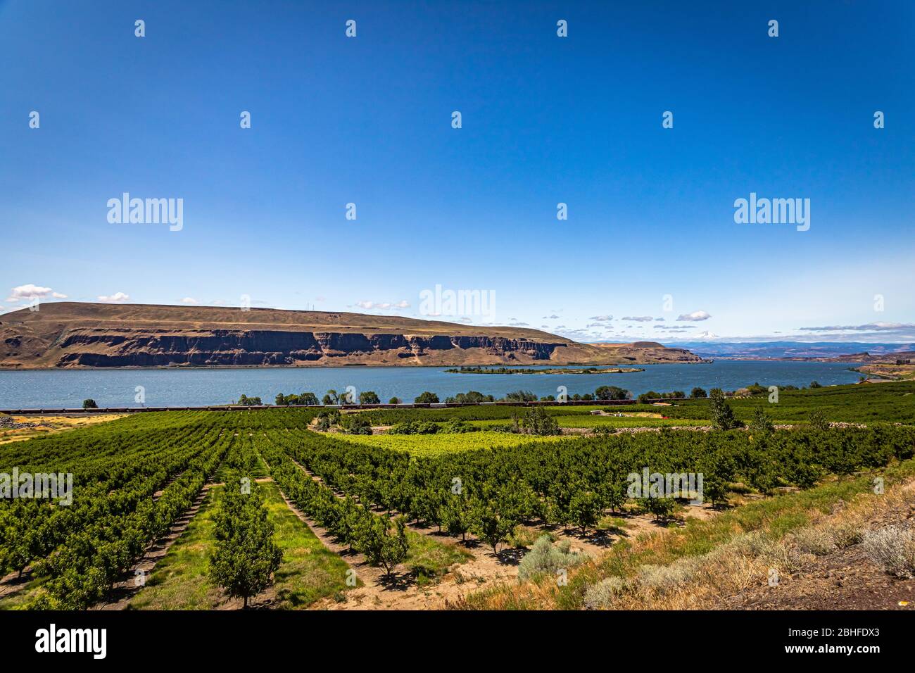 Verger De Pommiers Banque d'image et photos - Alamy