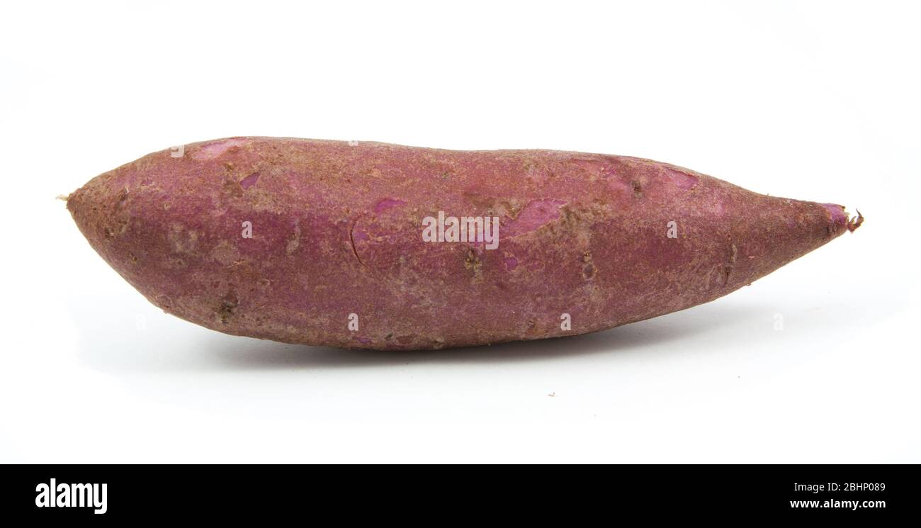 Tapioca plants Banque de photographies et d’images à haute résolution ...