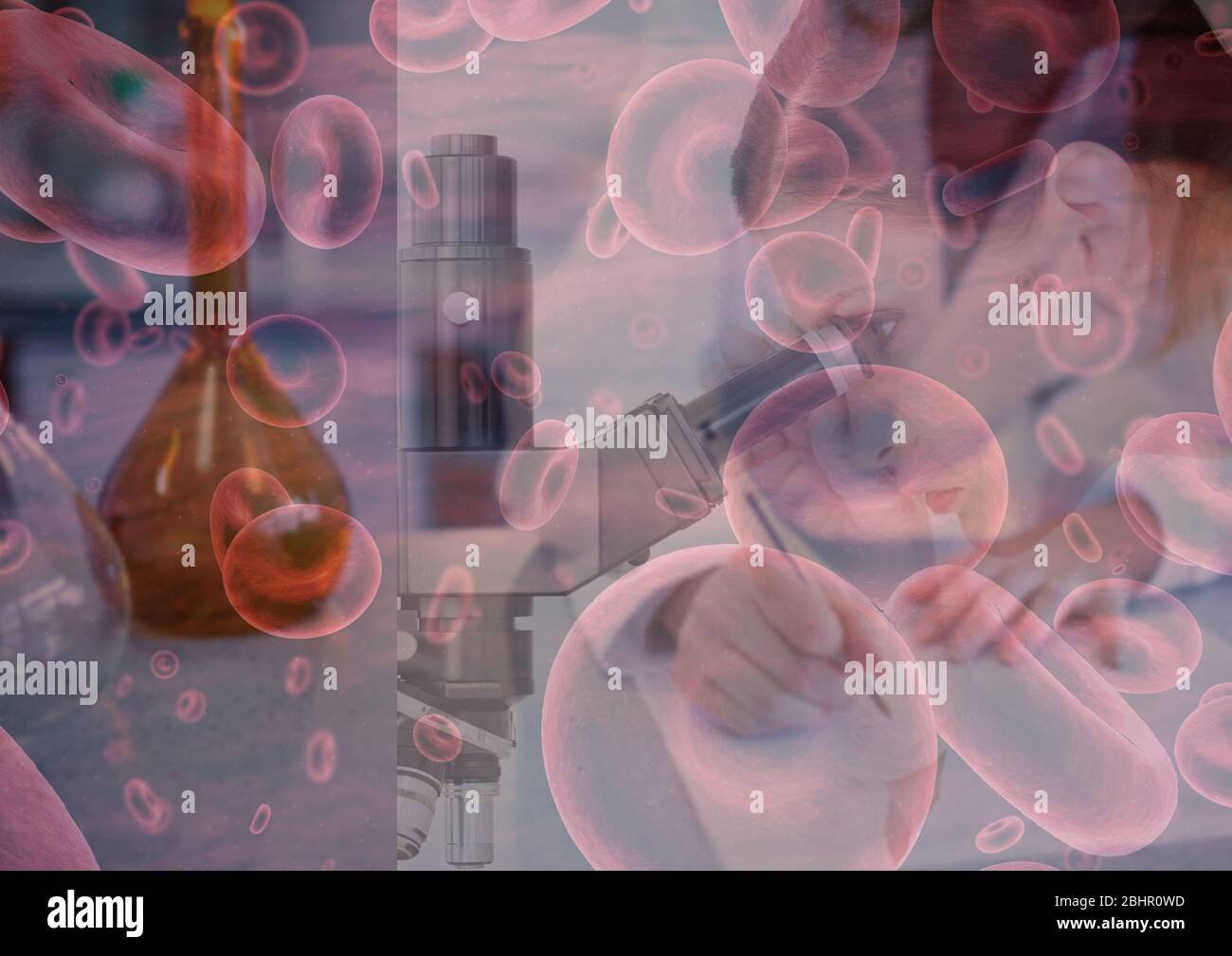 Globules rouges microscope Banque de photographies et d’images à haute ...