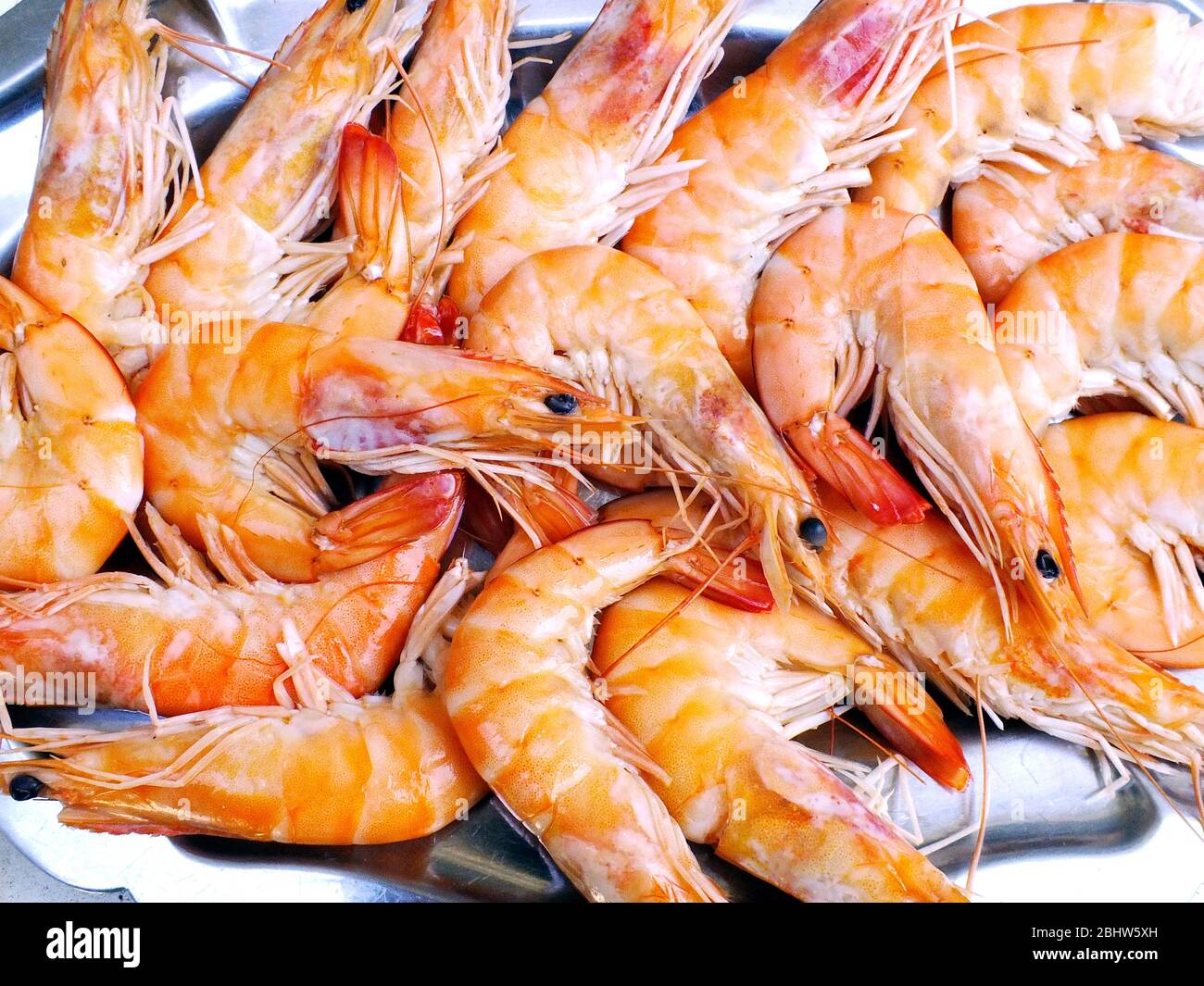 Crevettes roses Banque de photographies et d’images à haute résolution ...