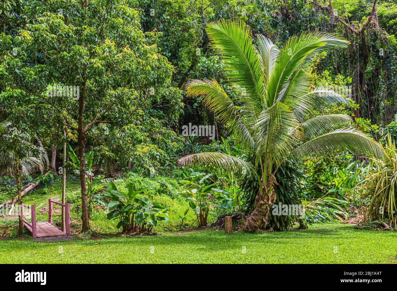 Datier nain Banque de photographies et d’images à haute résolution - Alamy