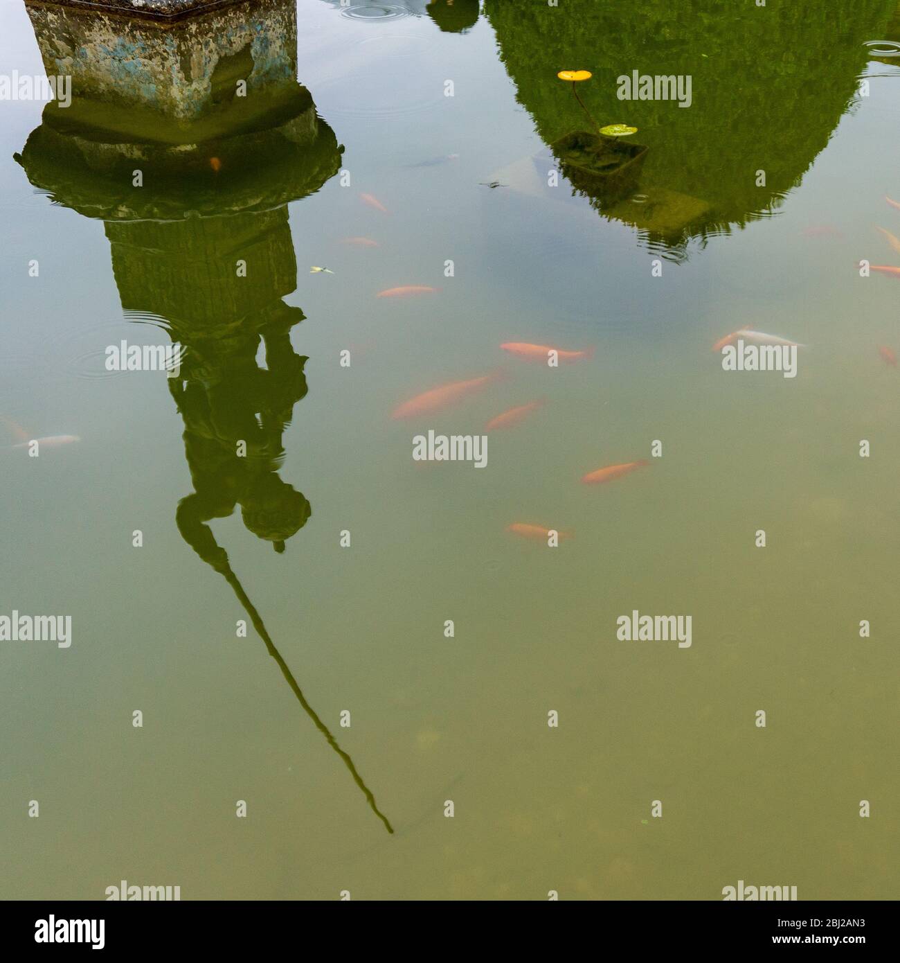Fountain goldfish pond Banque de photographies et d’images à haute ...