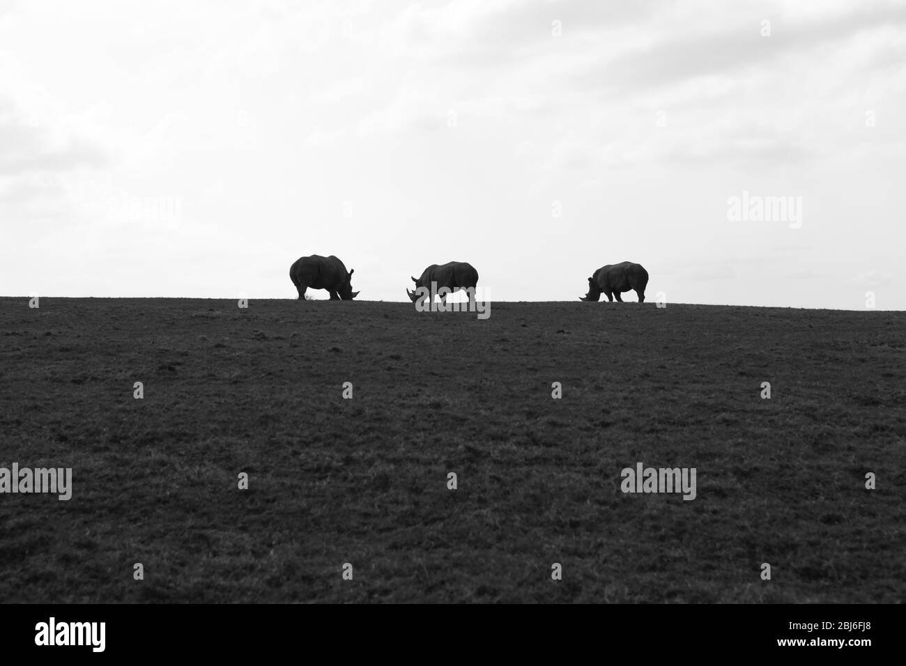 Jimmy chipperfield Banque de photographies et d’images à haute ...