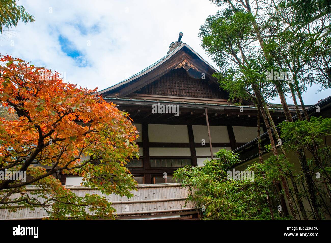 Temple Des Bambous Hokokuji – Hokokuji Bambous – XICHUC