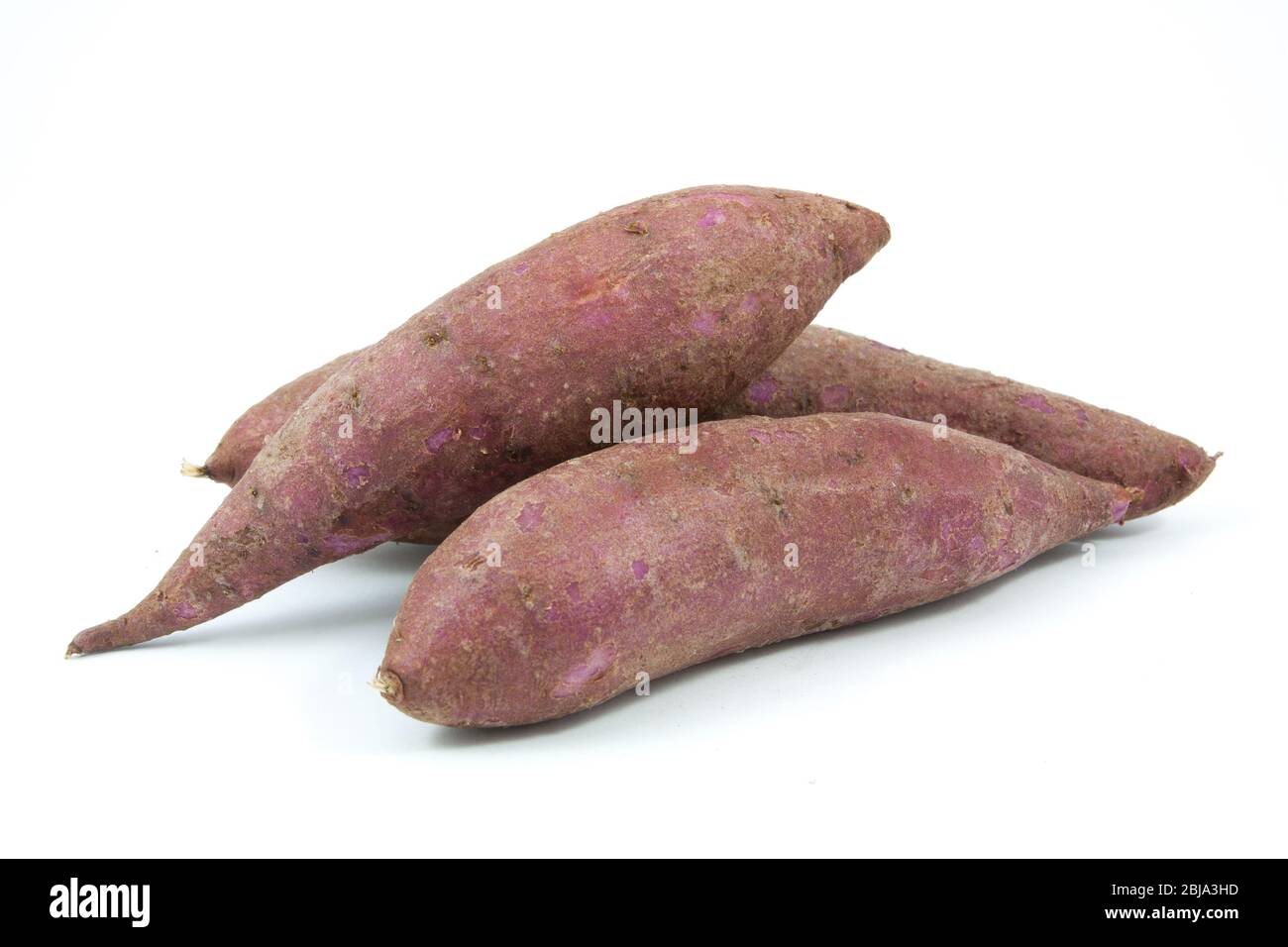 Tapioca plants Banque de photographies et d’images à haute résolution ...