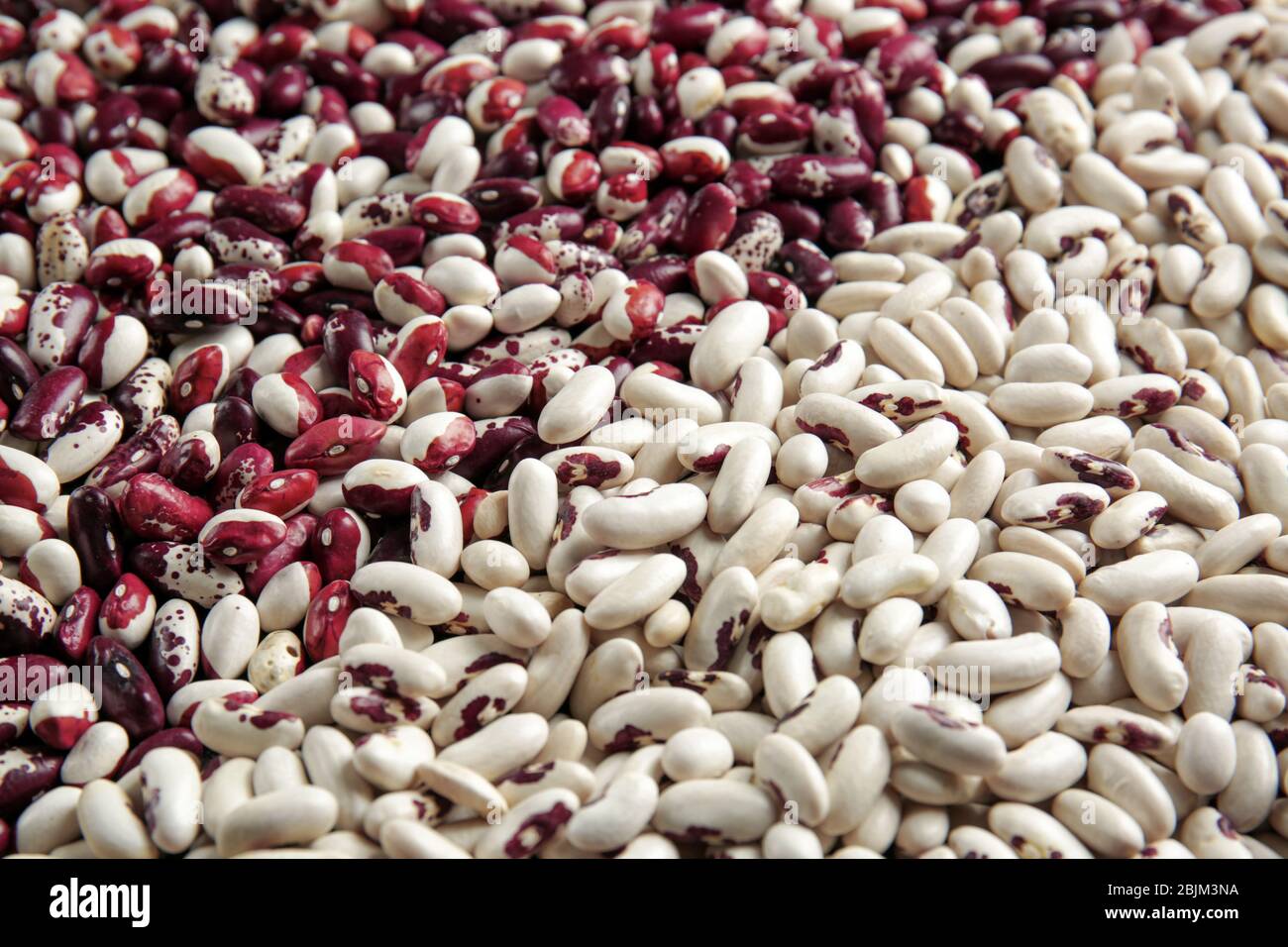 Types de haricots Banque de photographies et d’images à haute ...