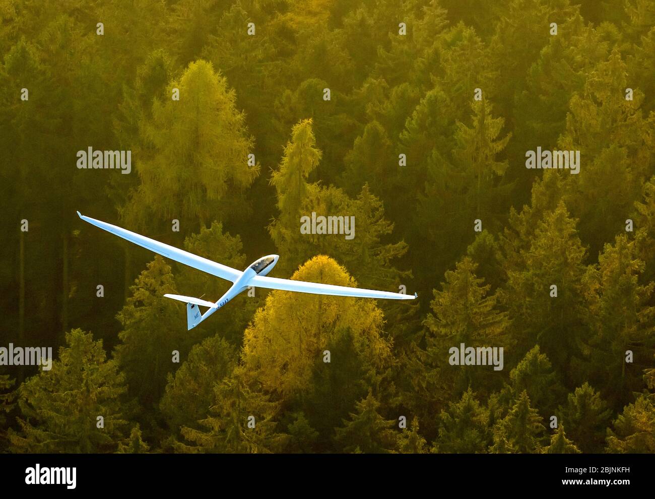 Avion survolant la forêt Banque de photographies et d’images à haute ...