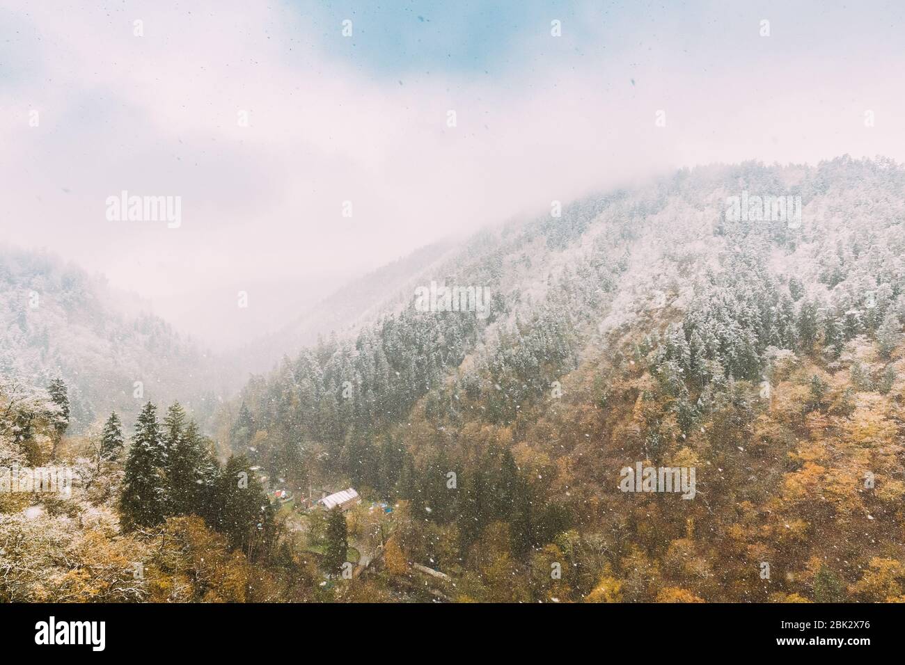 Borjomi nature reserve Banque de photographies et d’images à haute ...