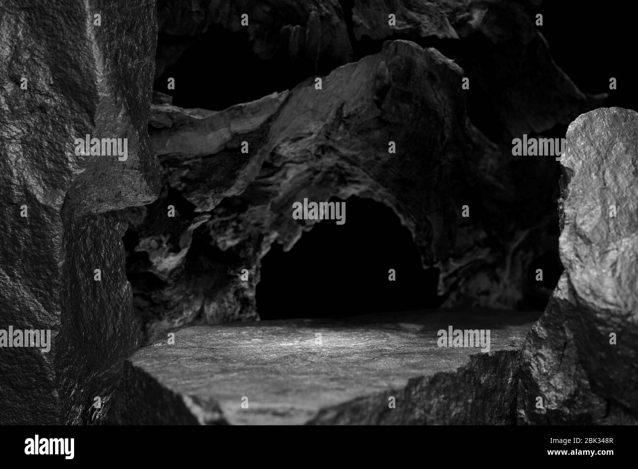Surface radiculaire Banque d'images noir et blanc - Alamy