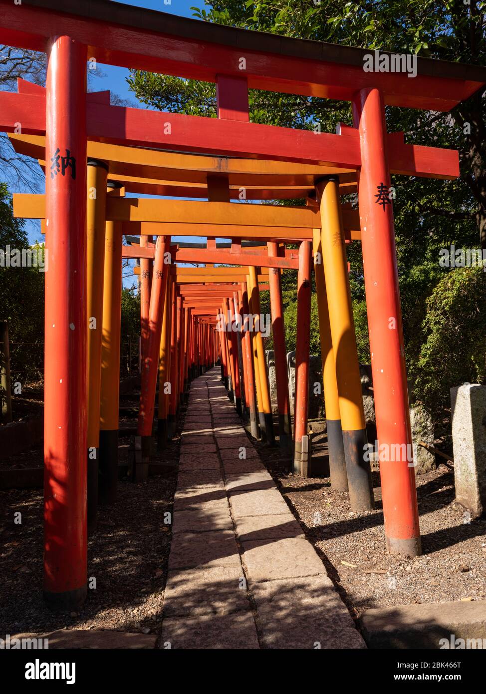 Portes de torii en bois Banque de photographies et d’images à haute ...