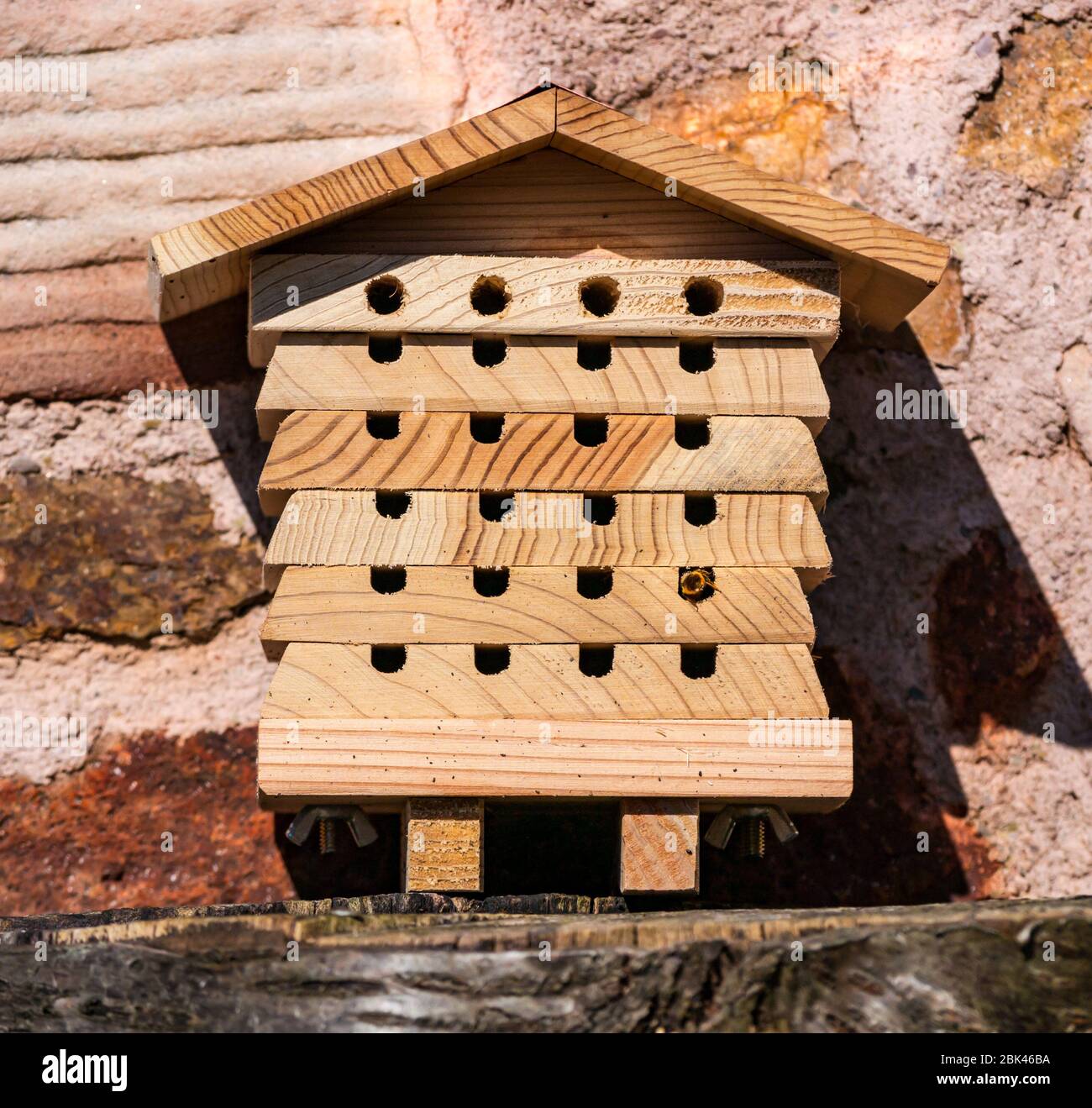 Gros plan d'un hôtel de insectes avec une abeille mason femelle, Osmia ...