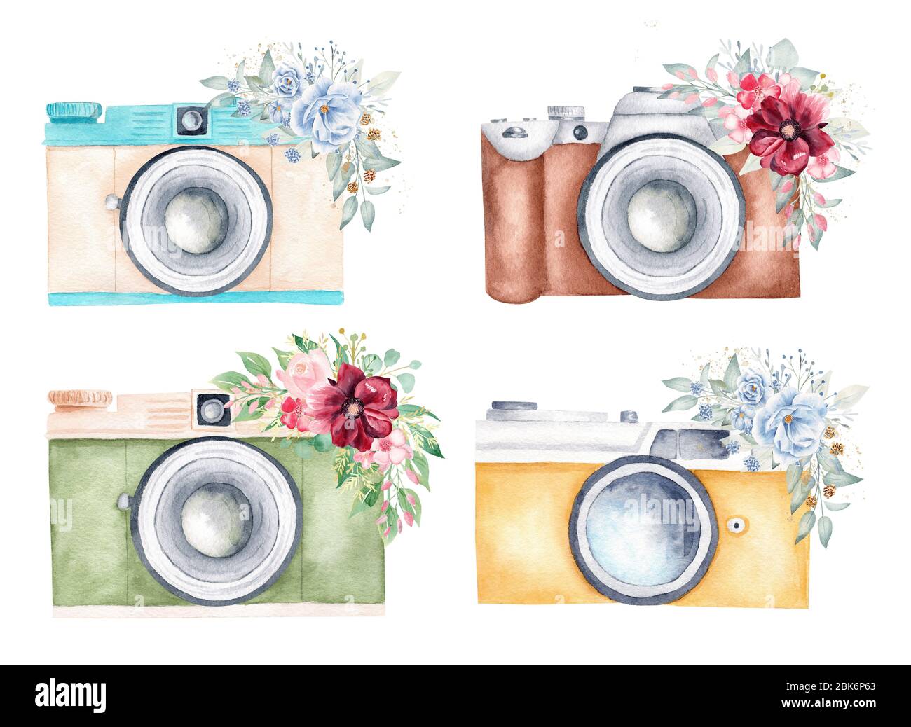 Caméras photo rétro aquarelle et illustration des arrangements floraux ...