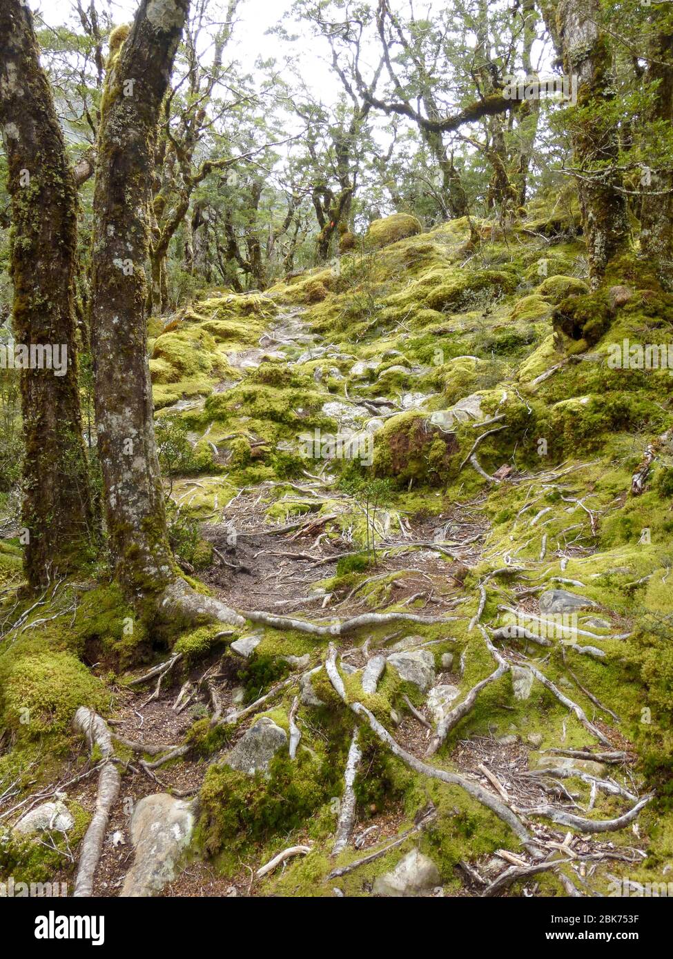 Piste de greenstone et caples Banque de photographies et d’images à ...