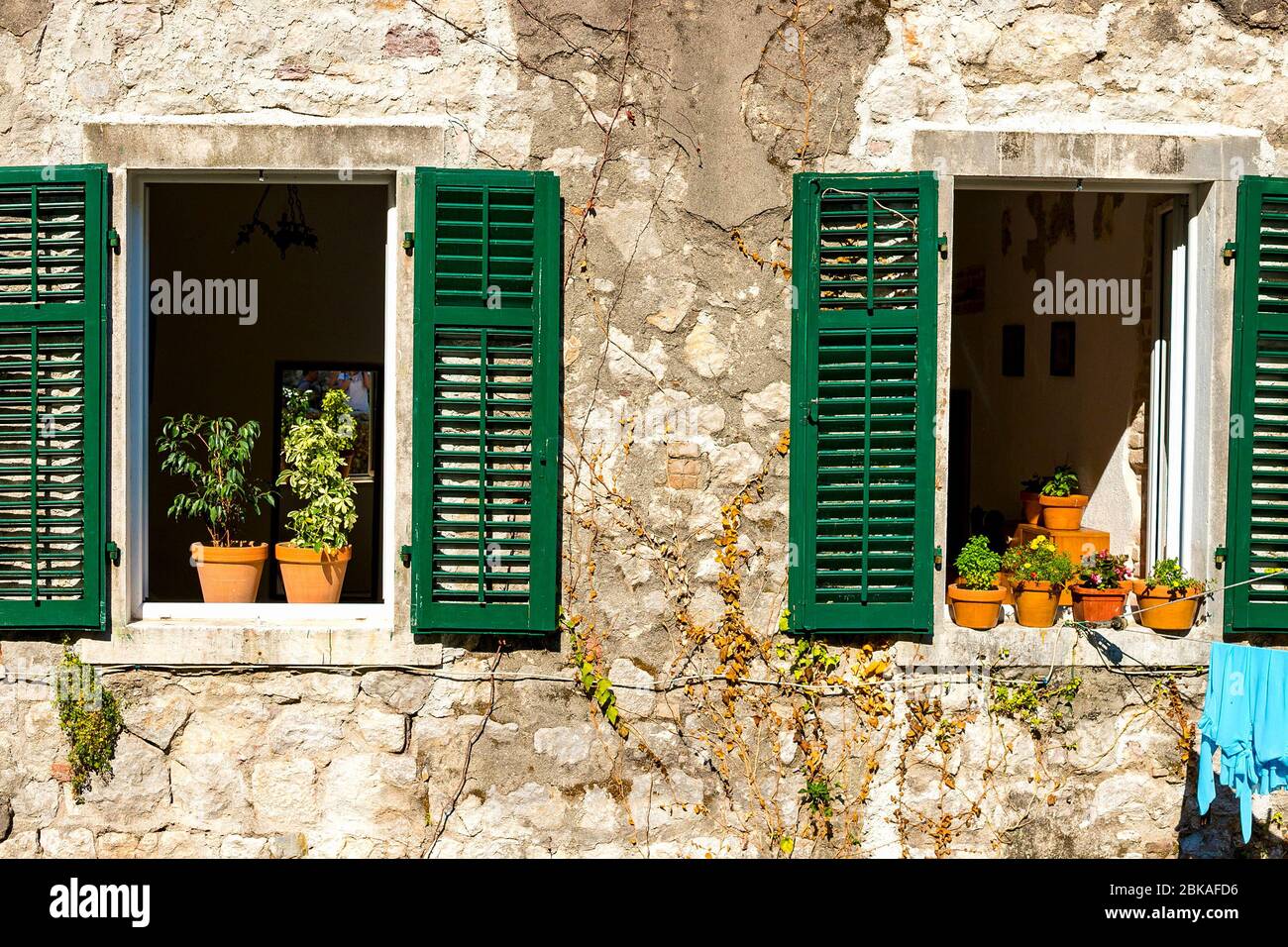Volet vert sur maison en pierre Banque de photographies et d’images à ...