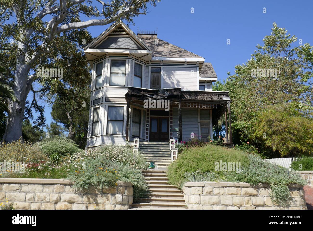 Thriller michael jackson tournage Banque de photographies et d’images à ...