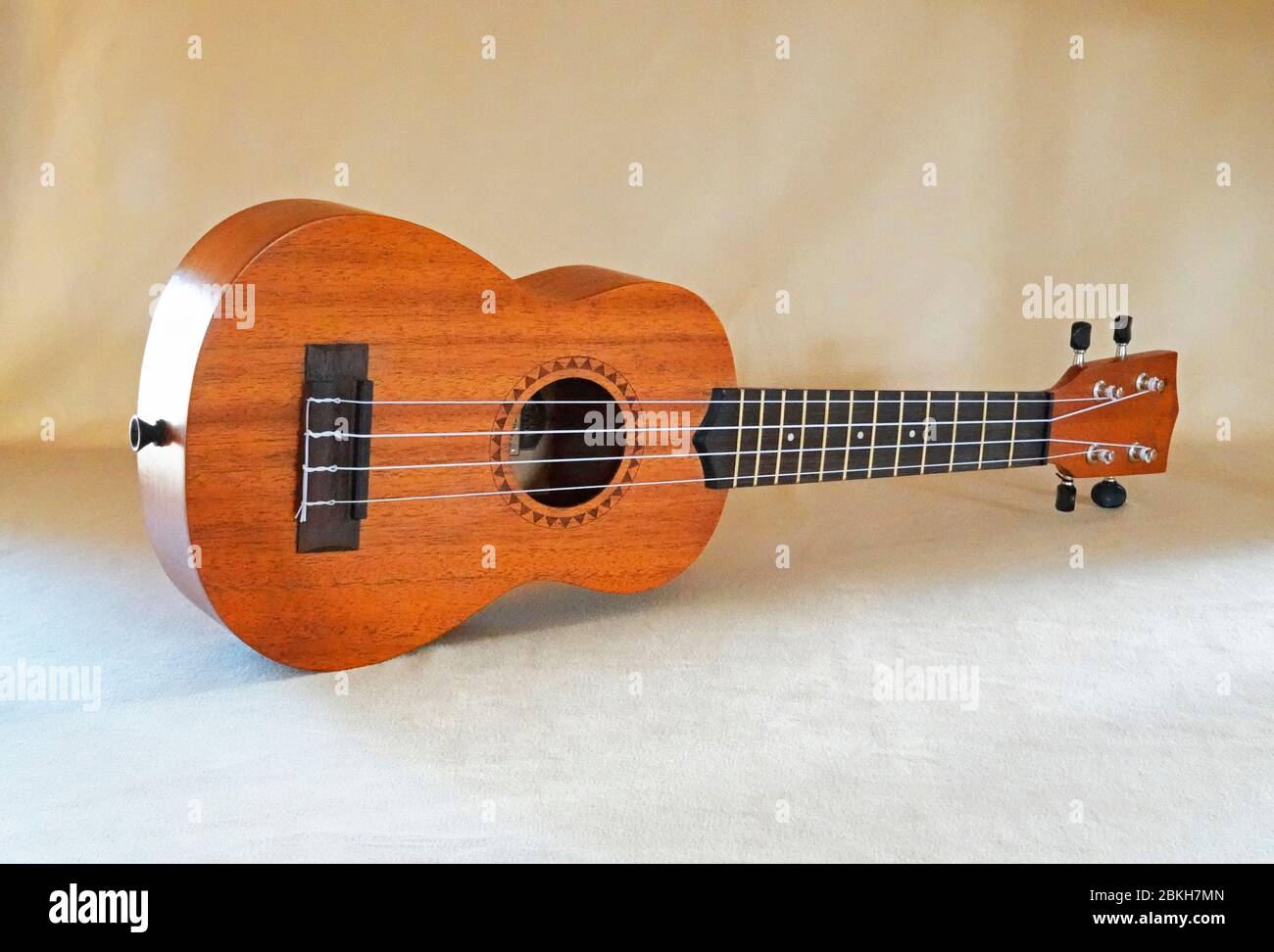 Hawaiian instrument Banque de photographies et d’images à haute ...