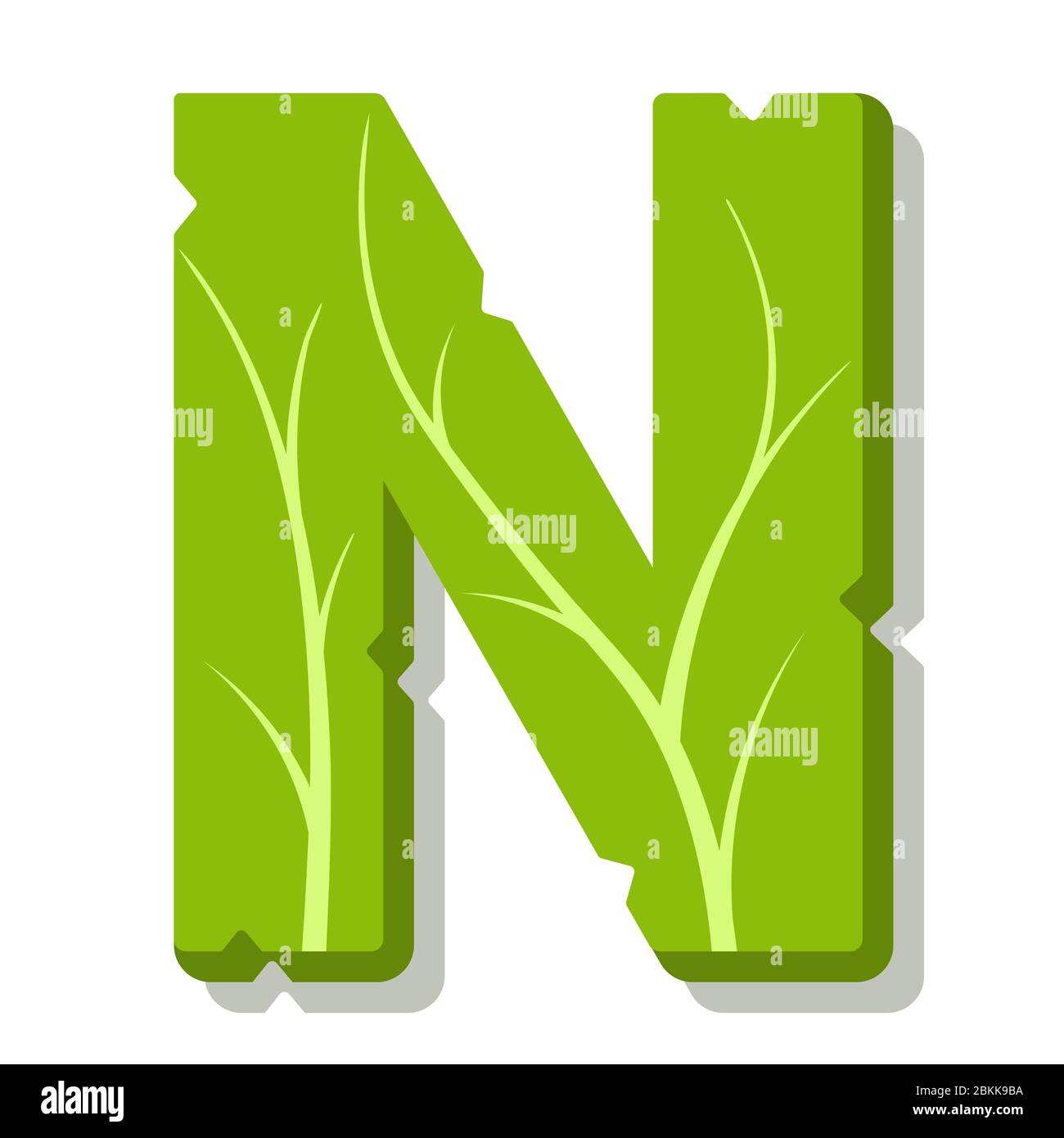 Lettre N, feuilles vertes alphabet vectoriel d'été. Le logo simple de ...