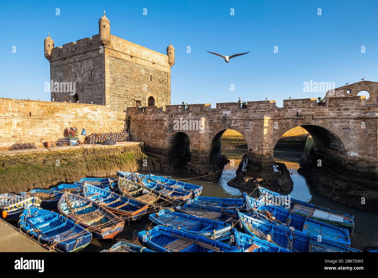 Port de peche maroc Banque de photographies et d’images à haute ...