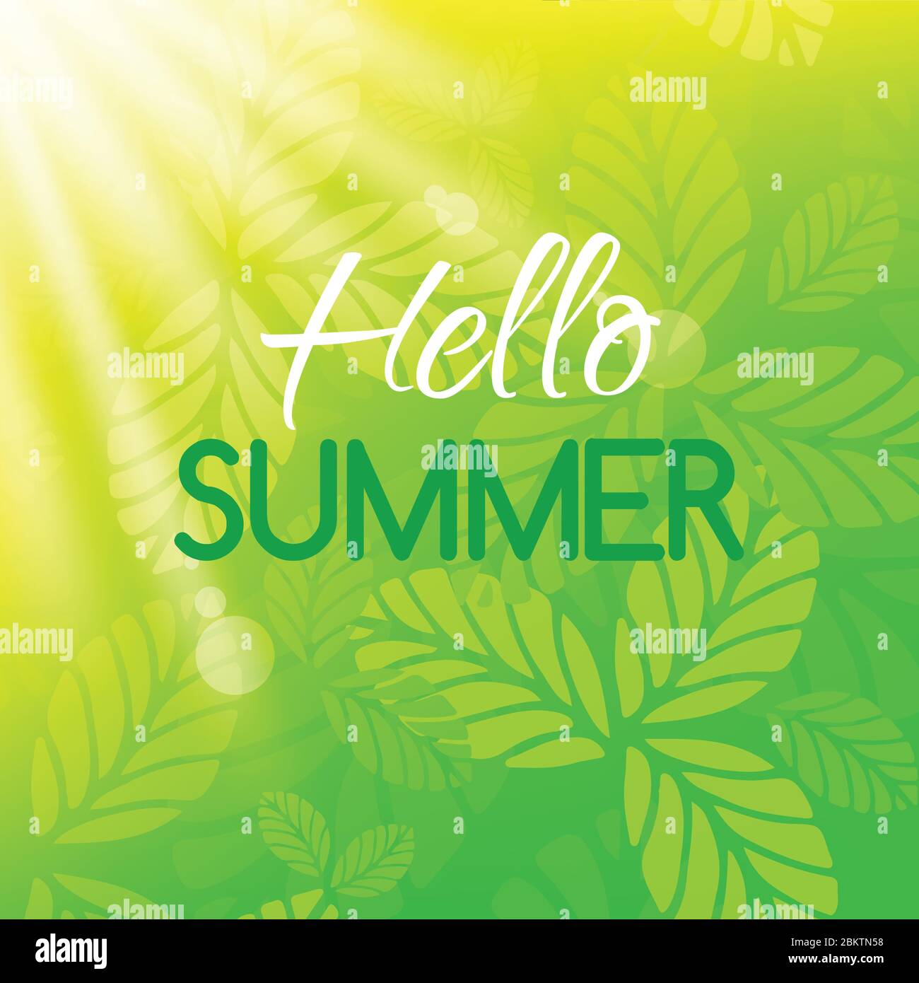 Summer party poster flyer background Banque d'images vectorielles - Alamy