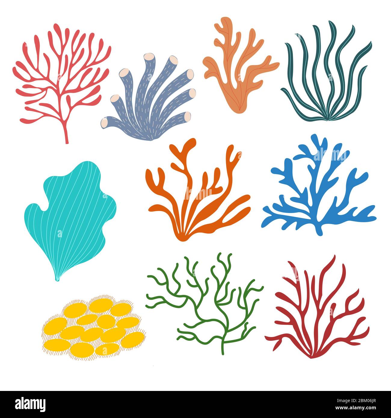 Beaux coraux Banque d'images vectorielles - Alamy