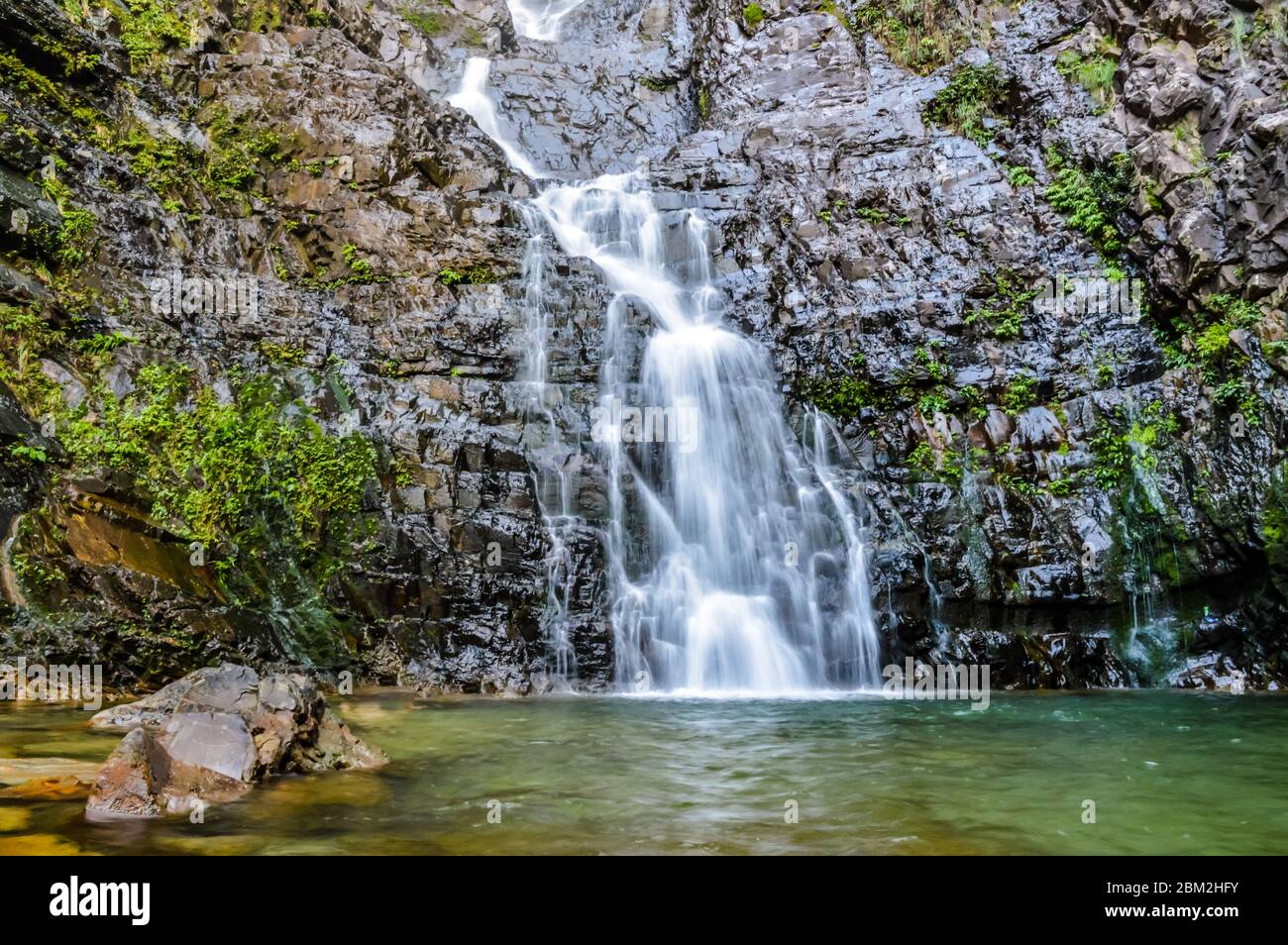 Cascade dans la jungle profonde Banque de photographies et d’images à ...