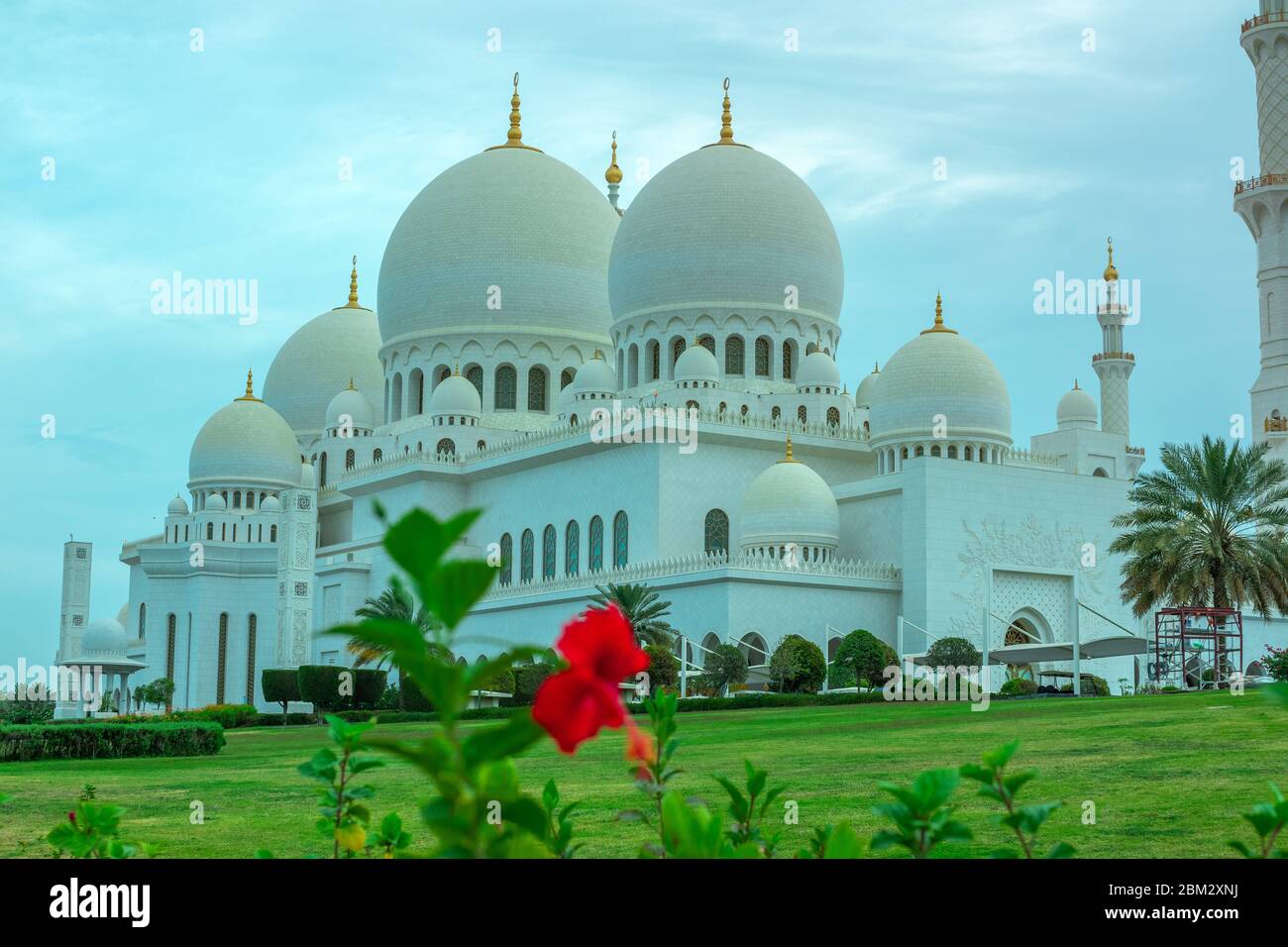 Sheikh zayed grand mosque flowers Banque de photographies et d’images à ...
