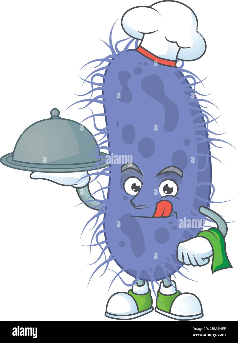 Salmonella typhi bacteria Banque d'images vectorielles - Alamy