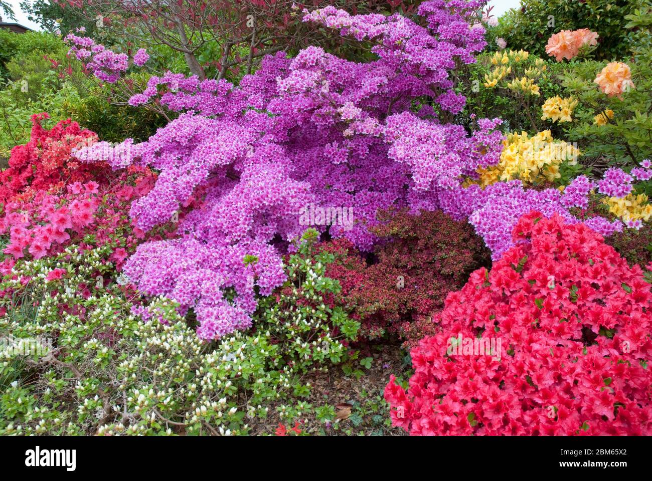 Jardin Spectaculaire Banque d'image et photos - Alamy