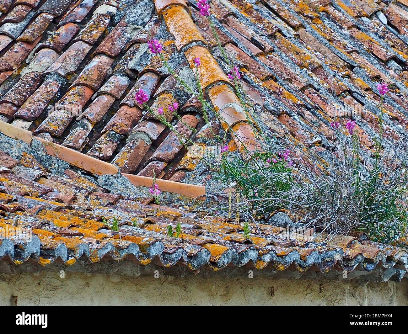 Tuile en terre cuite tuile tuiles toit Banque de photographies et d ...