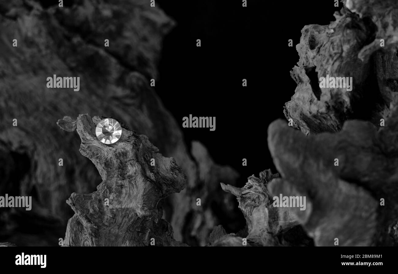 Arbre de diamant Banque de photographies et d’images à haute résolution ...