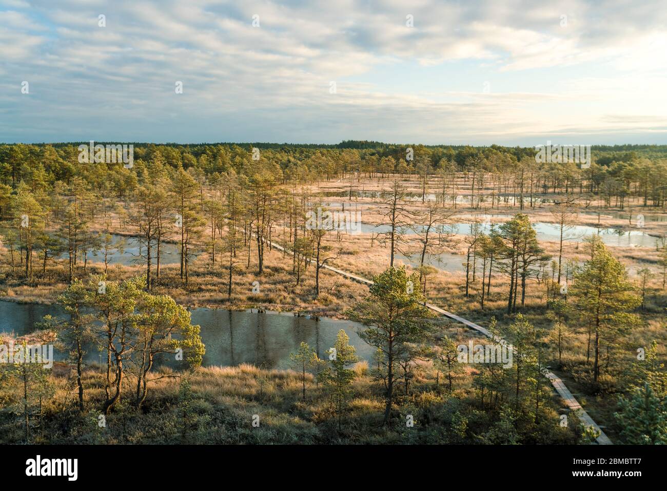 Viru raba Banque de photographies et d’images à haute résolution - Alamy
