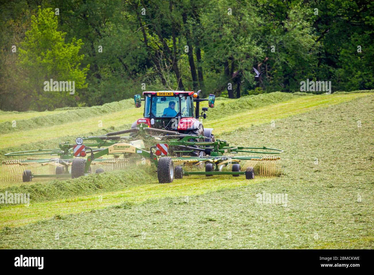 Tracteur massey ferguson 7624 Banque de photographies et d’images à ...