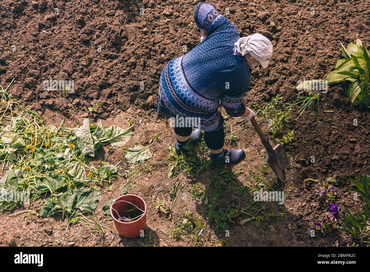Une femme dans un jardin dans un champ prépare pour semer et digue un ...