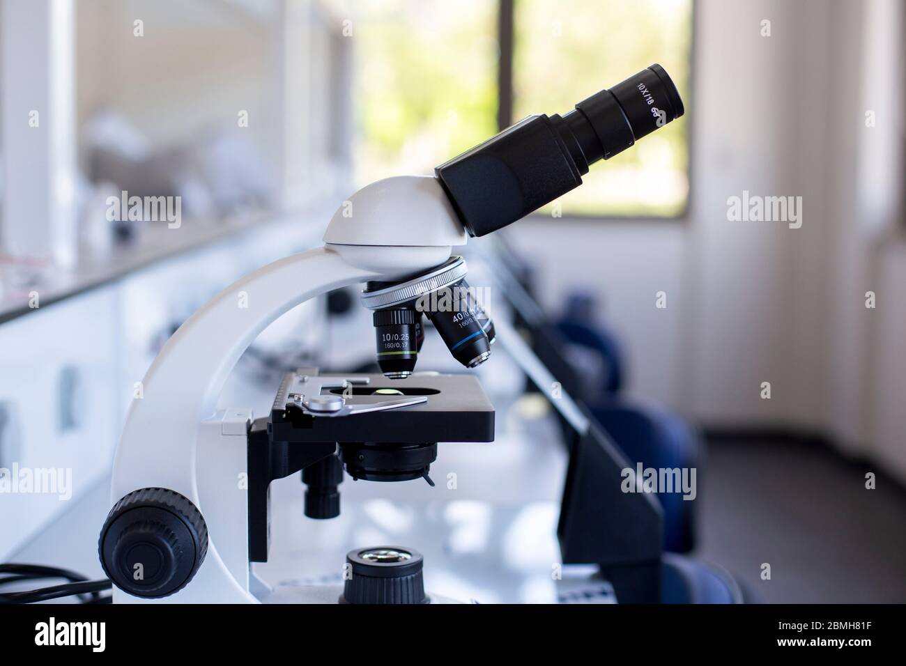 Microscope optique dans un laboratoire Banque de photographies et d ...