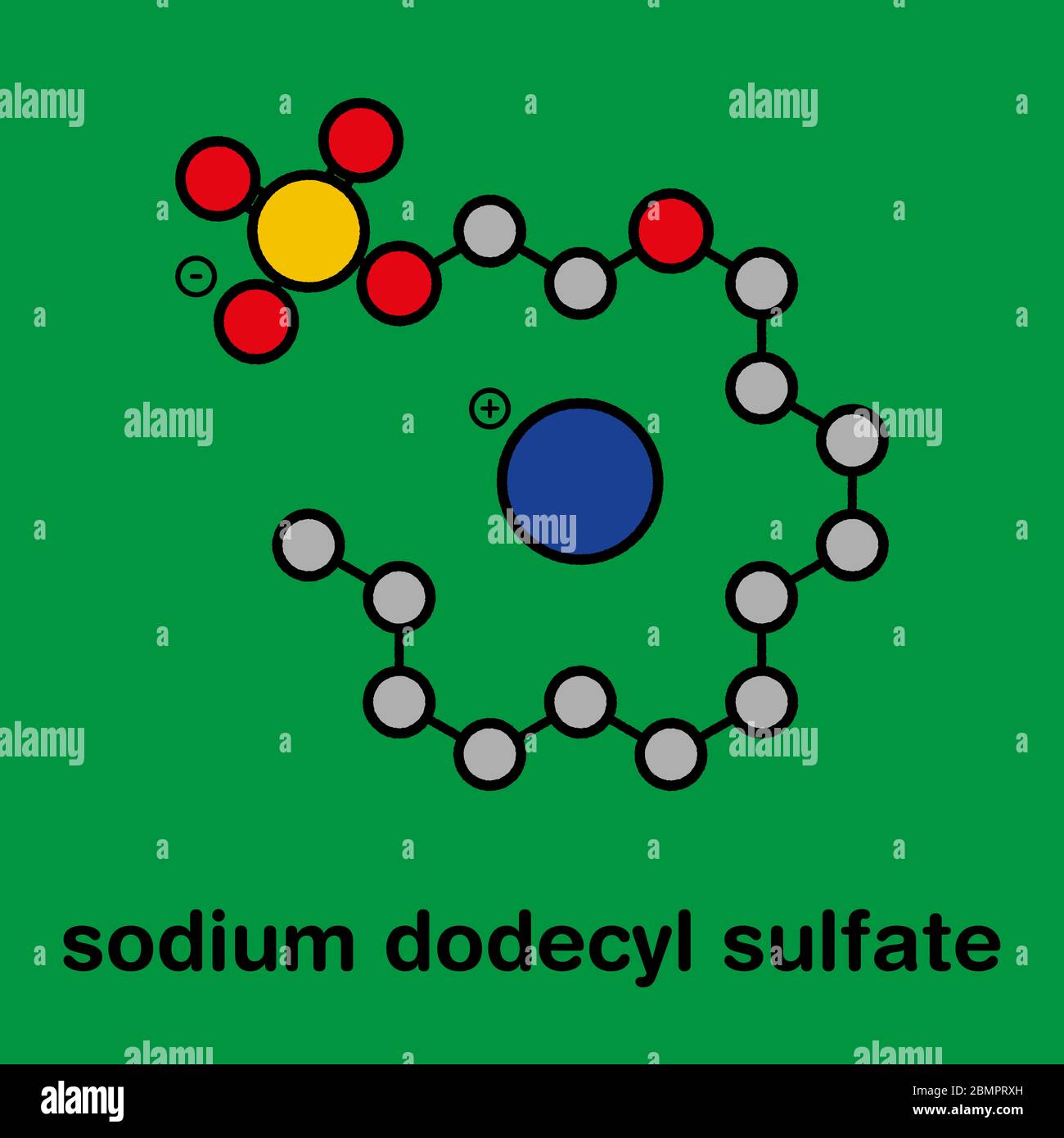 Sodium dodecyl sulfate Banque de photographies et d’images à haute ...