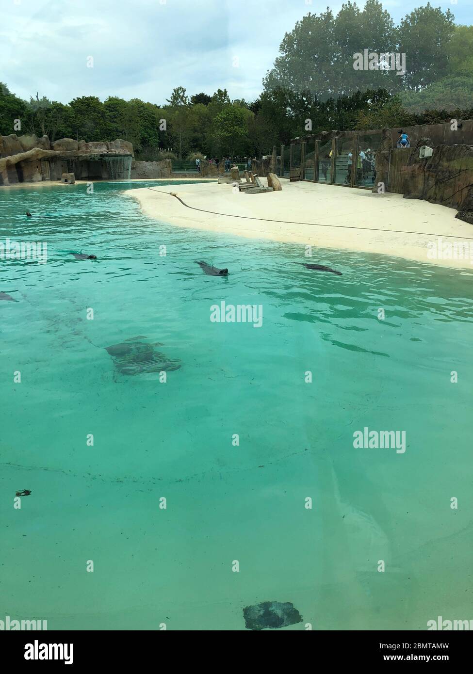 La vie de zoo Banque de photographies et d’images à haute résolution ...