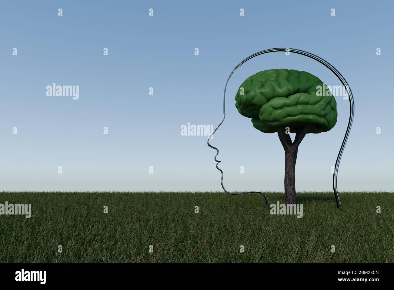 Cerveau en forme d'arbre Banque de photographies et d’images à haute ...