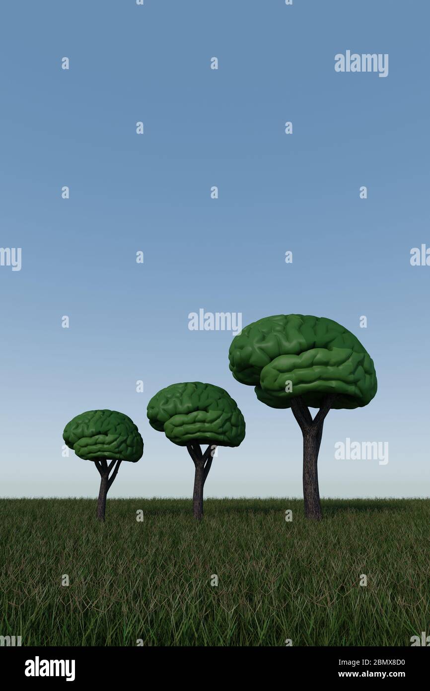 Cerveau en forme d'arbre Banque de photographies et d’images à haute ...