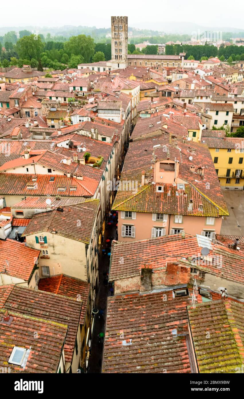 De la tour de guinigi une vue aérienne paysage des toits rouges ...