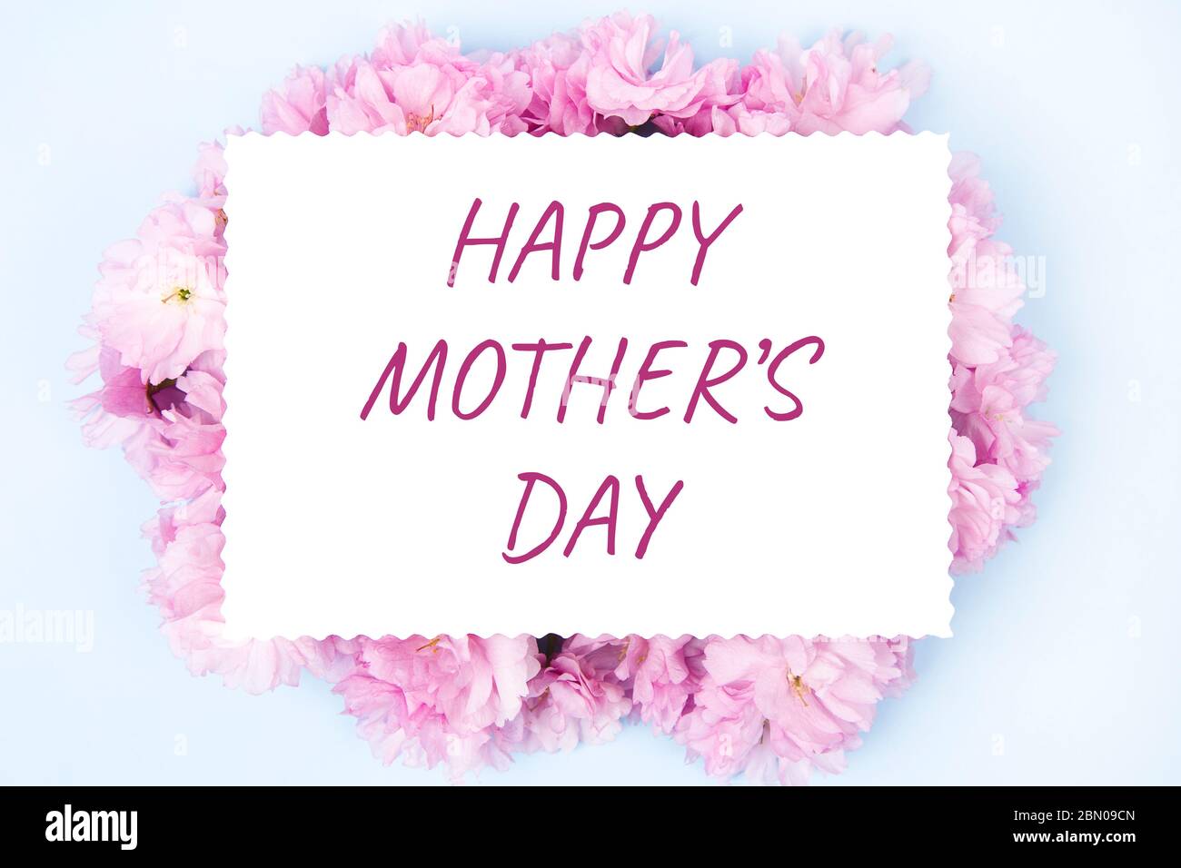 Carte de fête des mères avec fleurs de Sakura rose. Bonne fête des mères. Anglais Photo Stock ...
