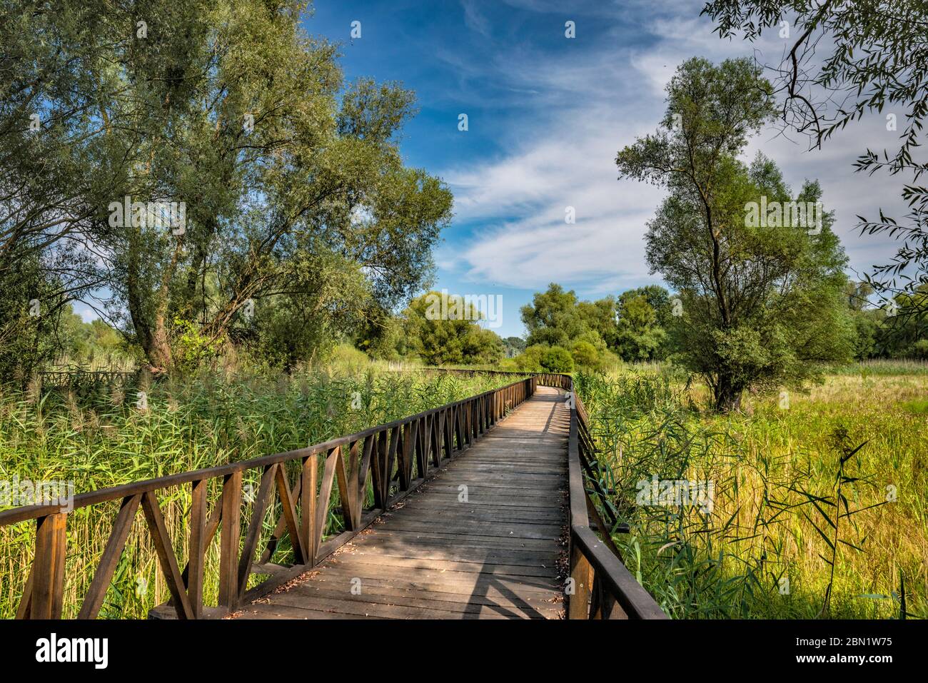 Plaine inondable du danube Banque de photographies et d’images à haute ...