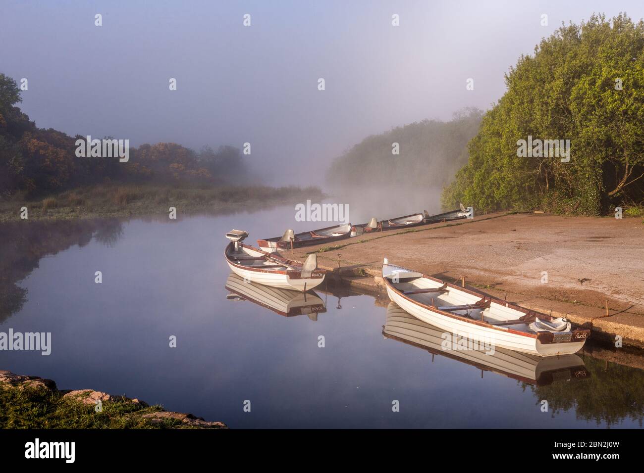 Cinque lee Banque de photographies et d’images à haute résolution - Alamy