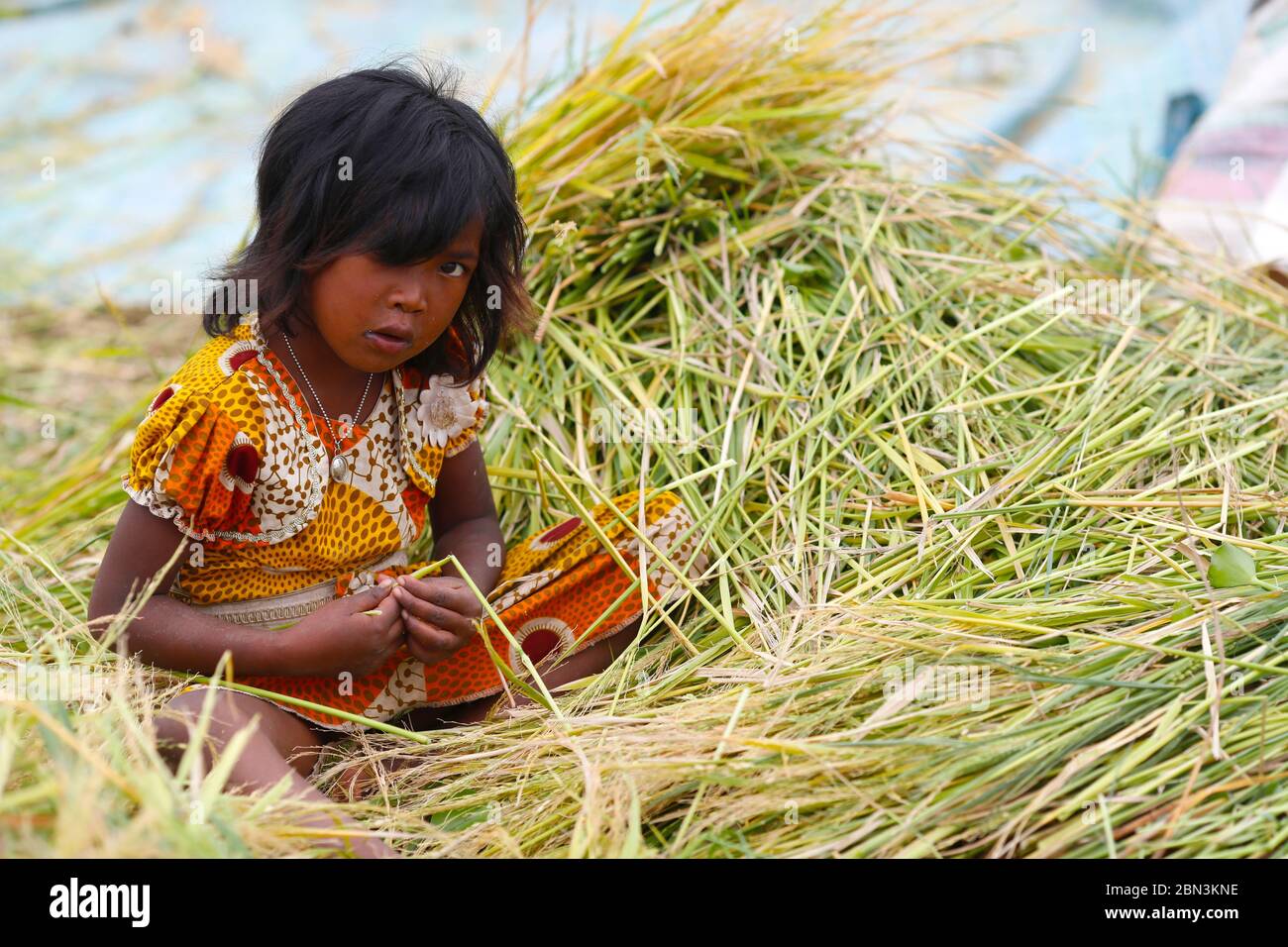 Antananarivo girl Banque de photographies et d’images à haute ...