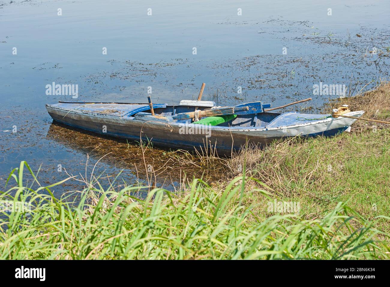 Rive du nil avec petit bleu Banque de photographies et d’images à haute ...