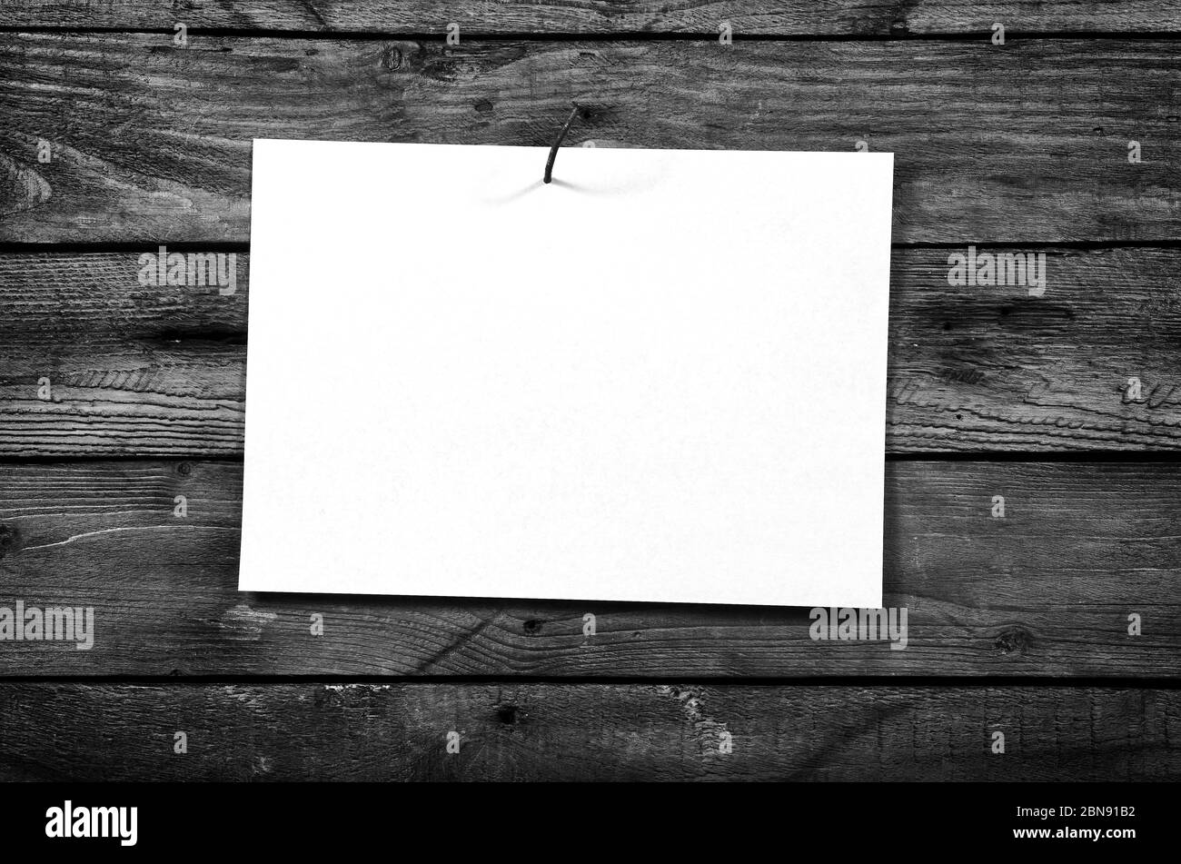 Feuille de papier blanche clouée à un clou rouillé un mur en bois en ...